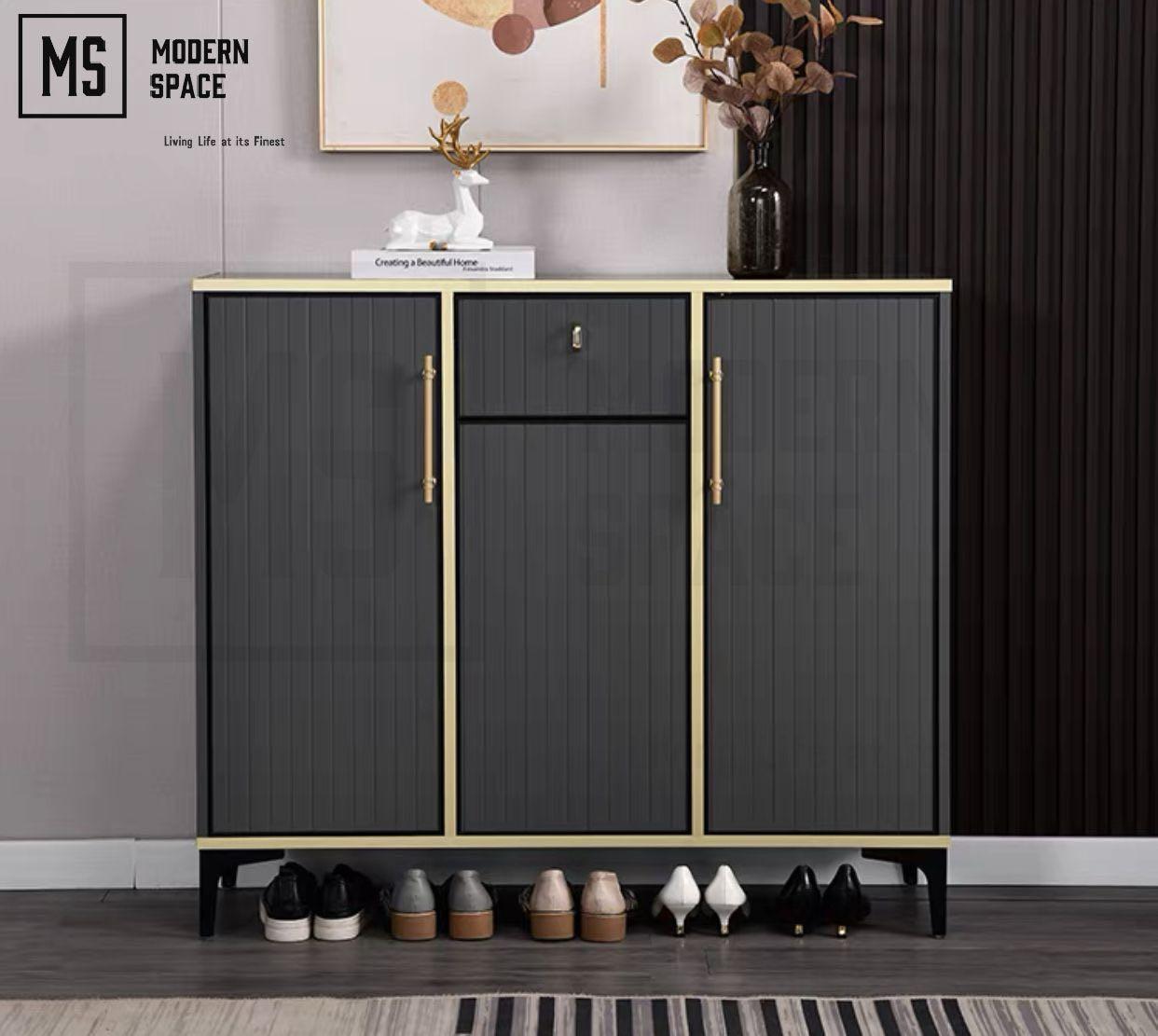 LUKAS Modern Aluminum Shoe Cabinet – Modern Space Living
